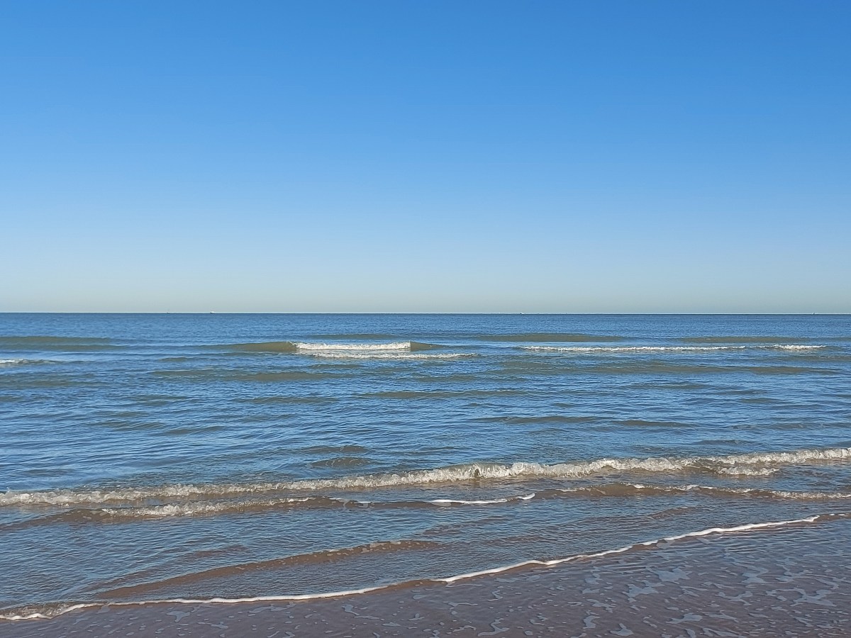 Februari stopte in Oostende – Op reis naar Ithaka